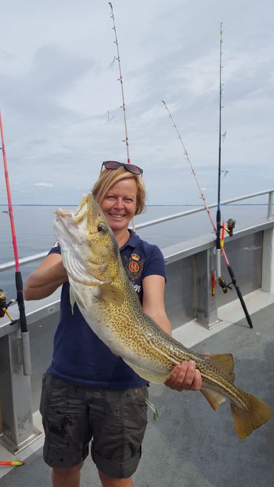 Fiske :: Evas resetips